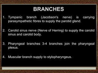 GLASSOPHARYNGEAL NERVE | PPTX