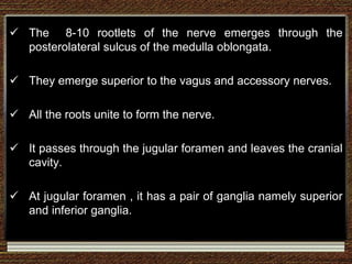 GLASSOPHARYNGEAL NERVE | PPTX