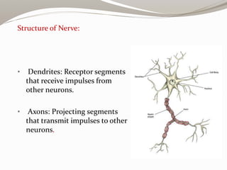 Glossopharyngeal nerve & its pathology ppt | PPTX