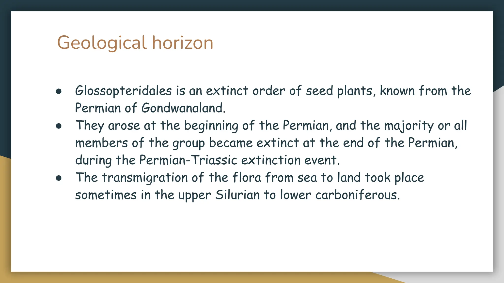 Glossopteridales fossil gymnosperms ancestral gymnosperms | PDF