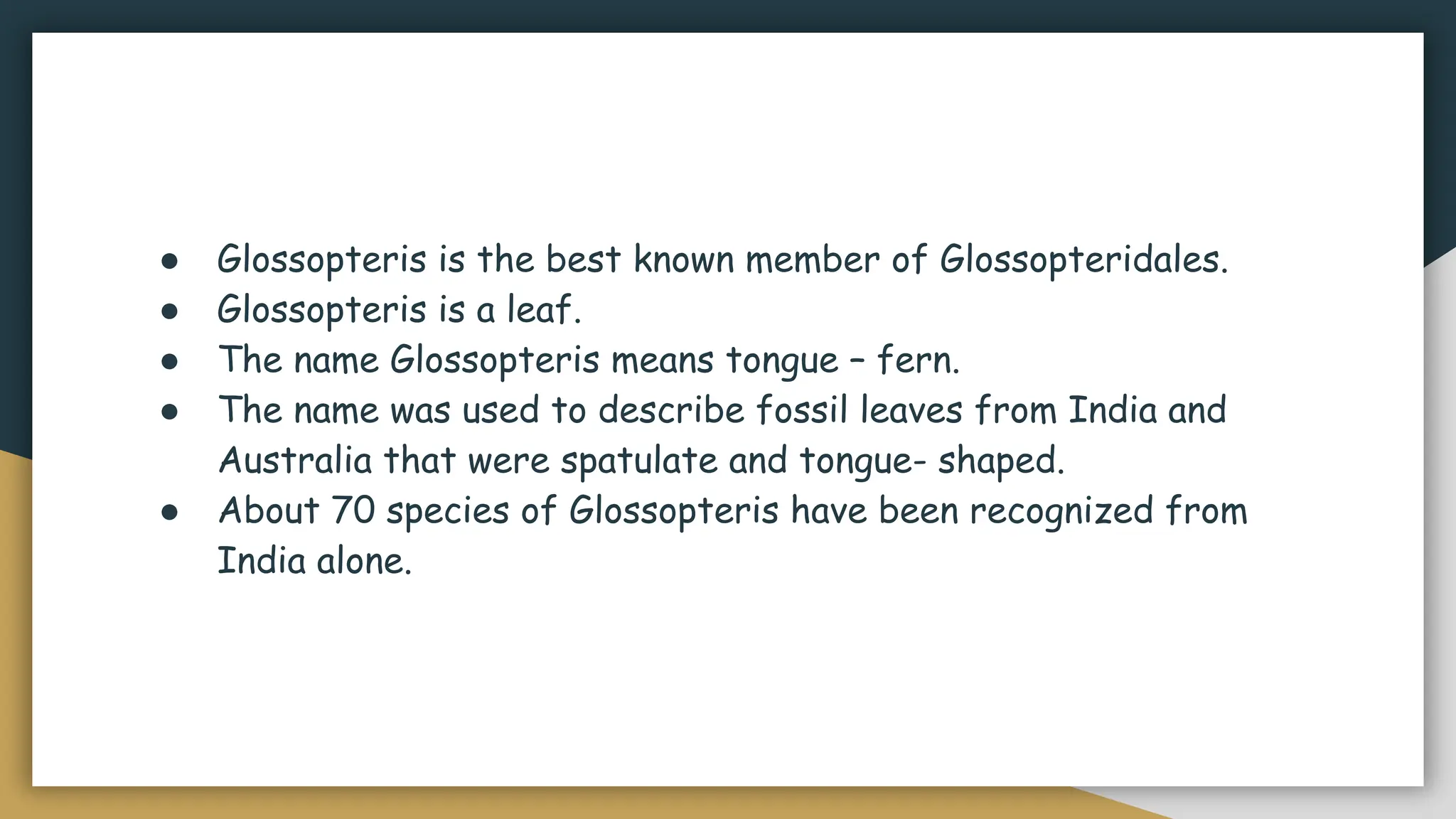 Glossopteridales fossil gymnosperms ancestral gymnosperms | PDF