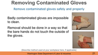 safety gloves . power point presentation | PPT