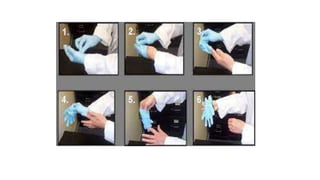 Gloving degloving | PPTX