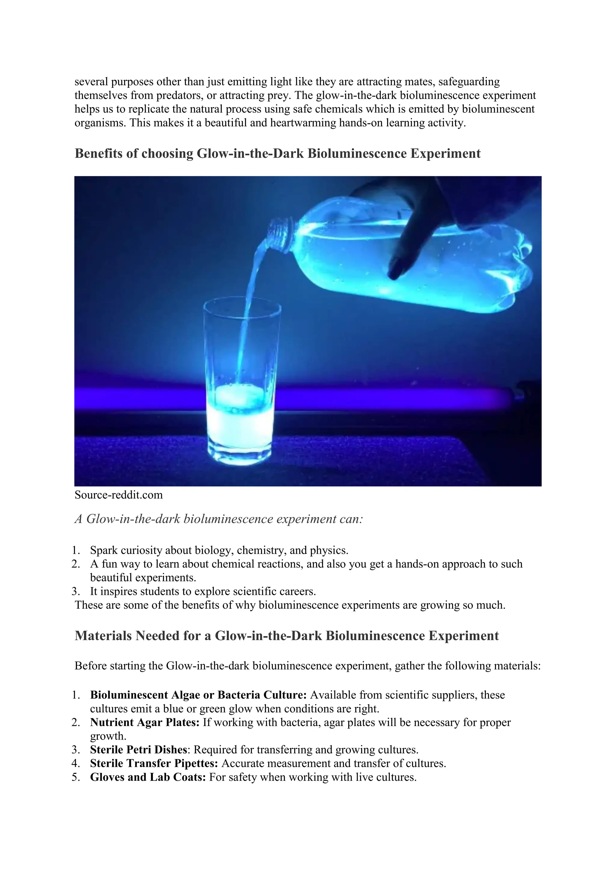Glow-in-the-Dark Bioluminescence Experiment in 5 Steps | The ...