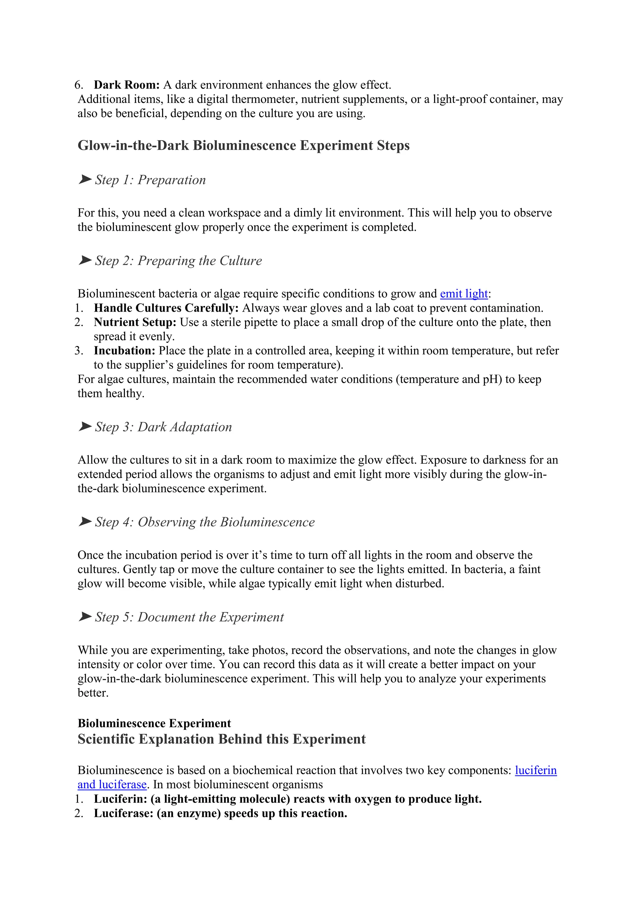 Glow-in-the-Dark Bioluminescence Experiment in 5 Steps | The ...