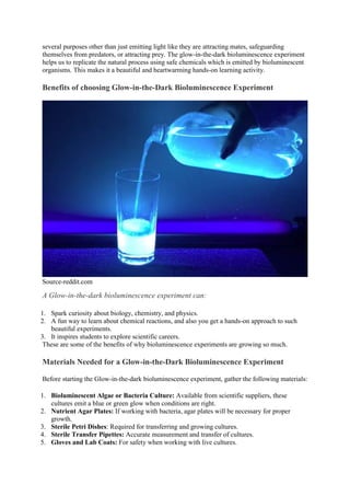Glow-in-the-Dark Bioluminescence Experiment in 5 Steps | The Lifesciences Magazine | PDF