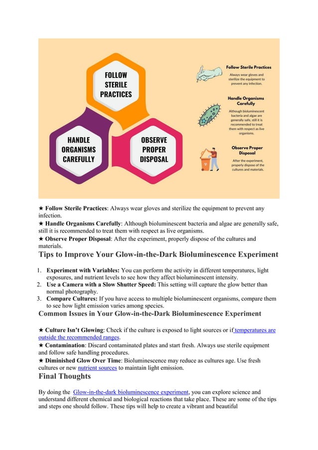 Glow-in-the-Dark Bioluminescence Experiment in 5 Steps | The ...