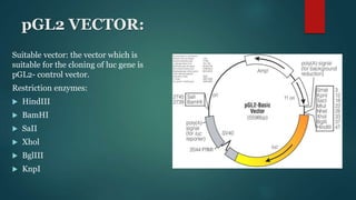 Glowing plants | PPTX