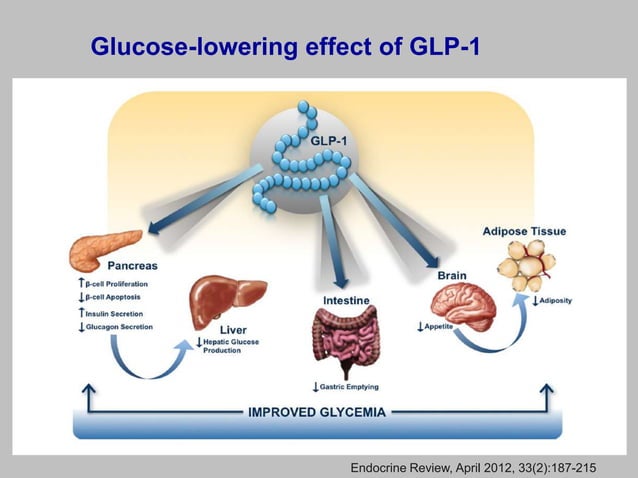 Glp 1 edffect of cardiovascular system | PPTX
