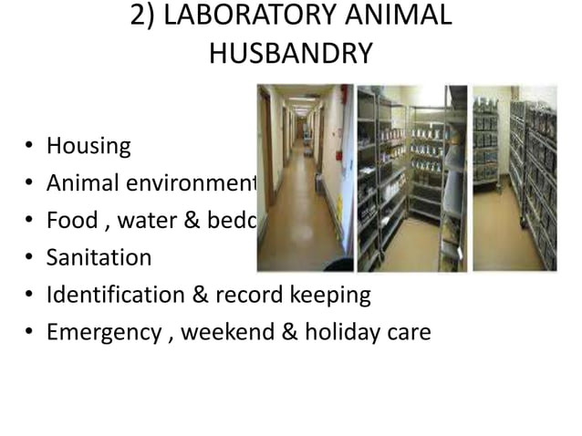 GLP and animal toxicity for students.pptx