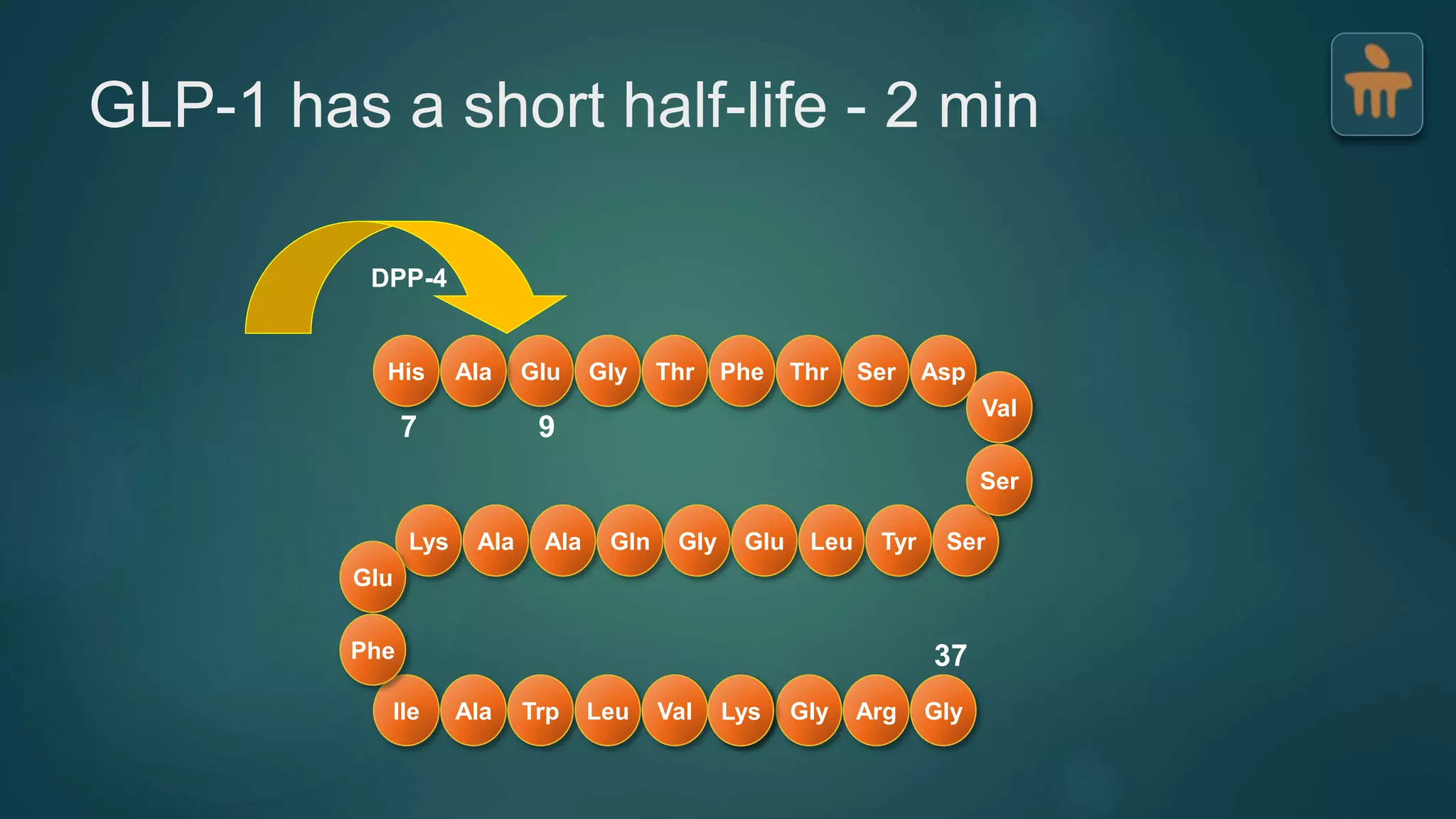 GLP-1 and Diabetes Mellitus | PPTX