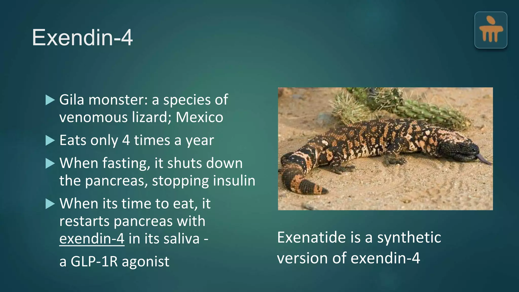 GLP-1 and Diabetes Mellitus | PPTX