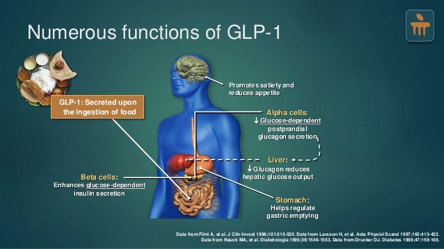 GLP-1 and Diabetes Mellitus
