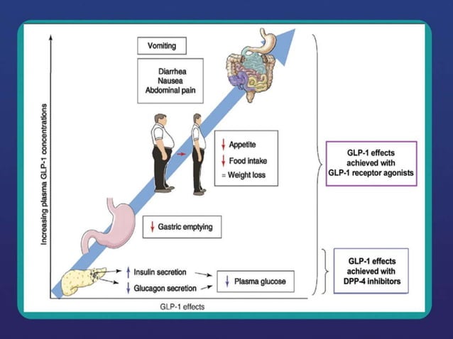 Glp1 clinical view | PPTX