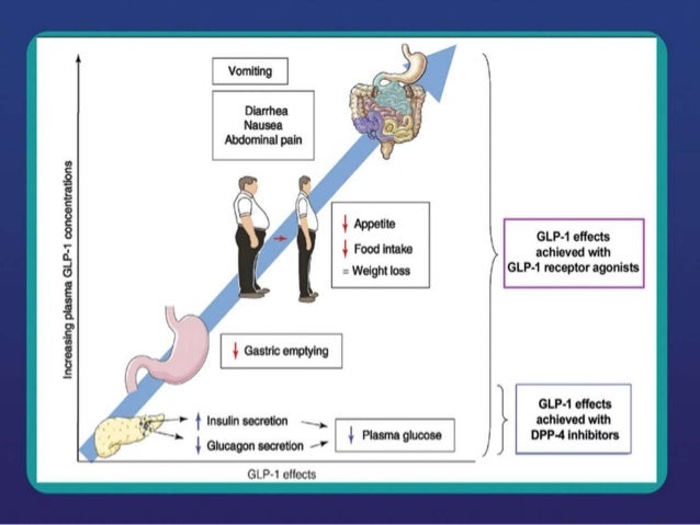 Glp1 clinical view
