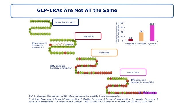 GLP1 Role : DM type 2