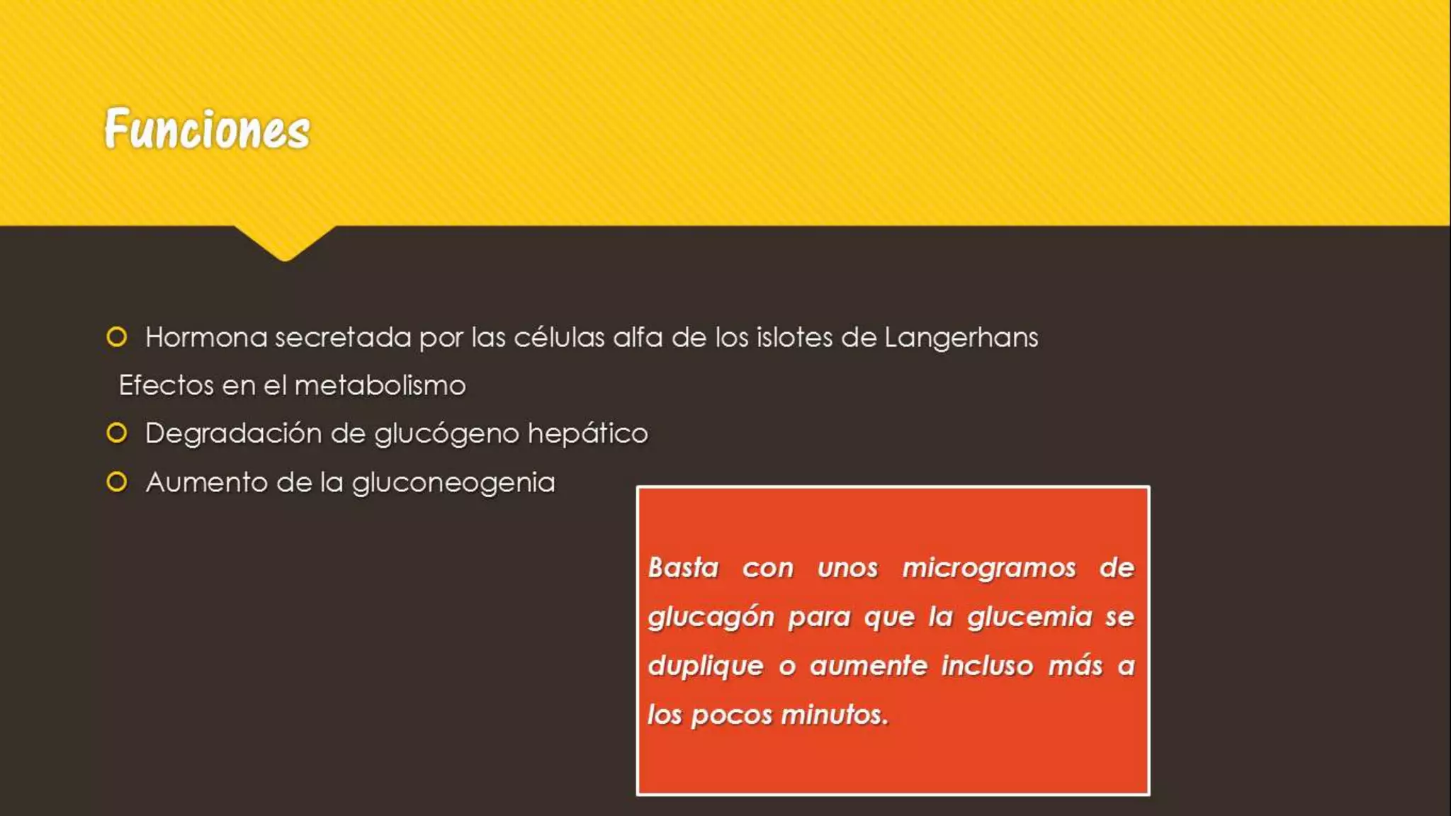 Mecanismos de secreciòn de insulina. Glucagon y sus funciones | PPTX