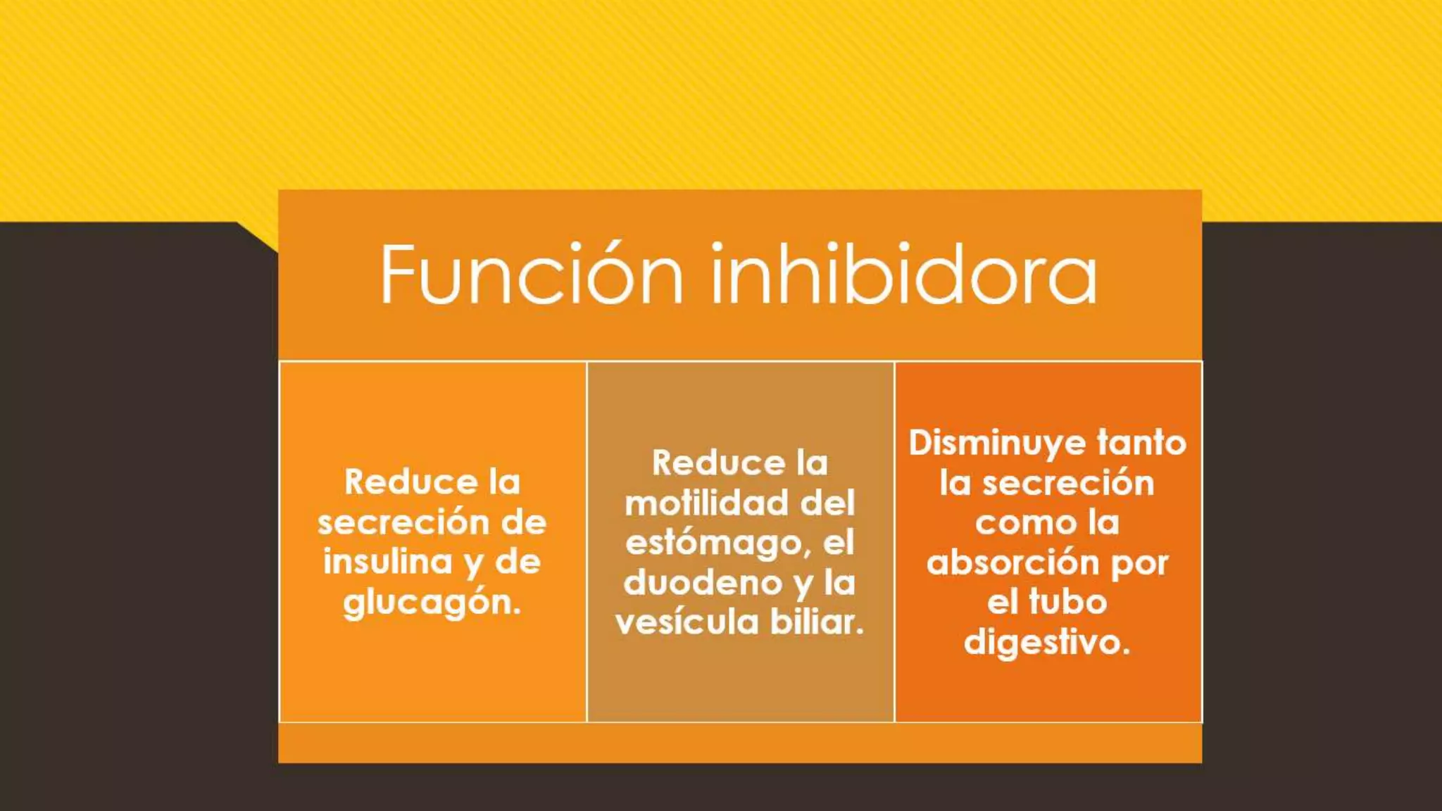 Mecanismos de secreciòn de insulina. Glucagon y sus funciones | PPTX