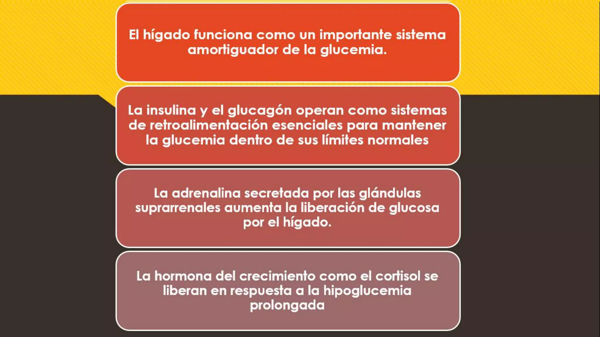Mecanismos de secreciòn de insulina. Glucagon y sus funciones | PPTX
