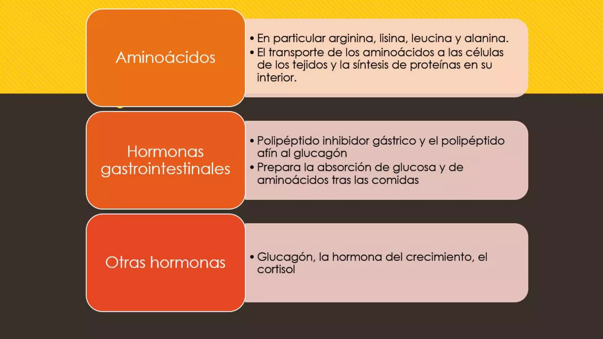 Mecanismos de secreciòn de insulina. Glucagon y sus funciones | PPTX