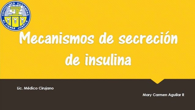 Mecanismos de secreciòn de insulina. Glucagon y sus funciones | PPTX