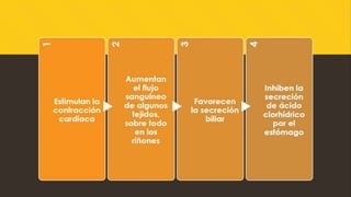Mecanismos de secreciòn de insulina. Glucagon y sus funciones | PPTX