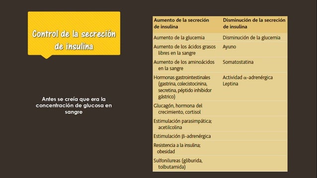 Mecanismos de secreciòn de insulina. Glucagon y sus funciones | PPT