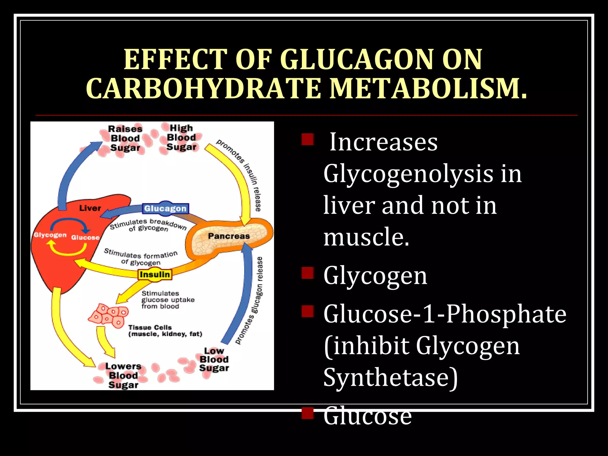 Glucagon - REGULATION OF BLOOD GLUCOSE | PPT