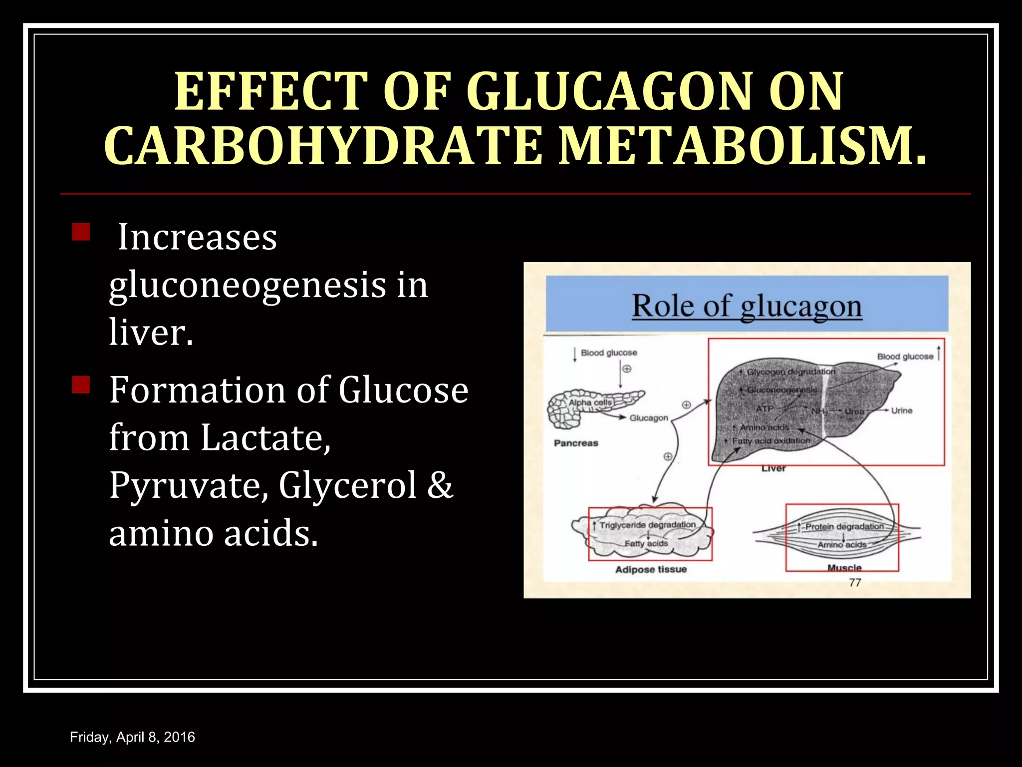 Glucagon - REGULATION OF BLOOD GLUCOSE | PPT