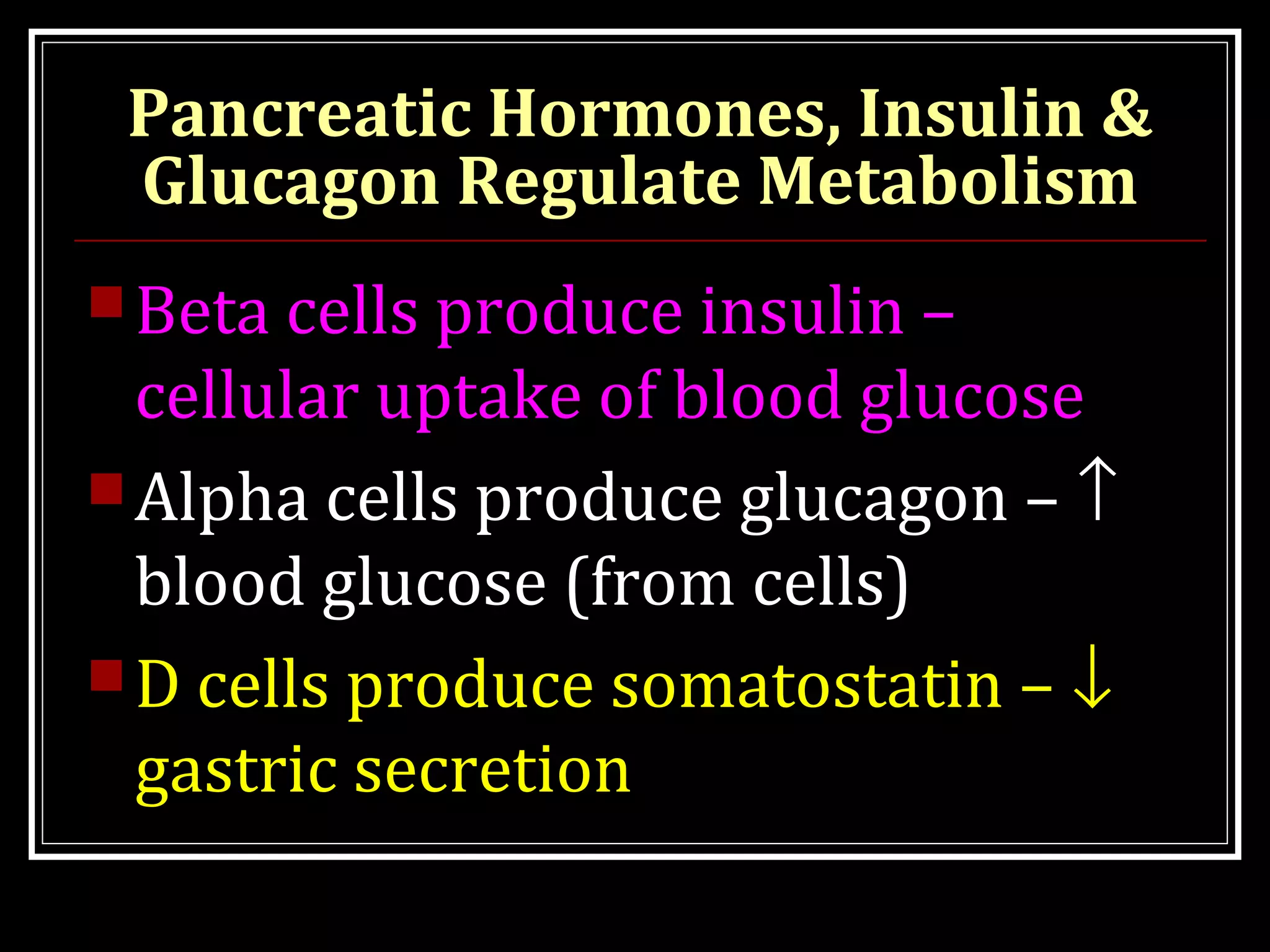 Glucagon - REGULATION OF BLOOD GLUCOSE | PPT