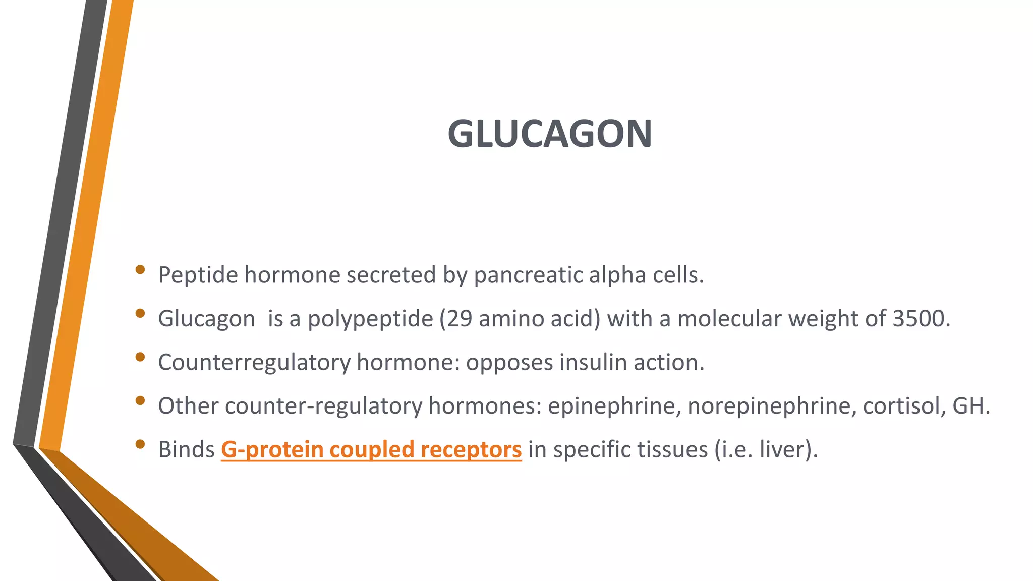 Glucagon | PDF