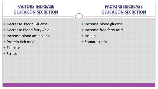 Glucagon (The Guyton and Hall physiology) | PPT