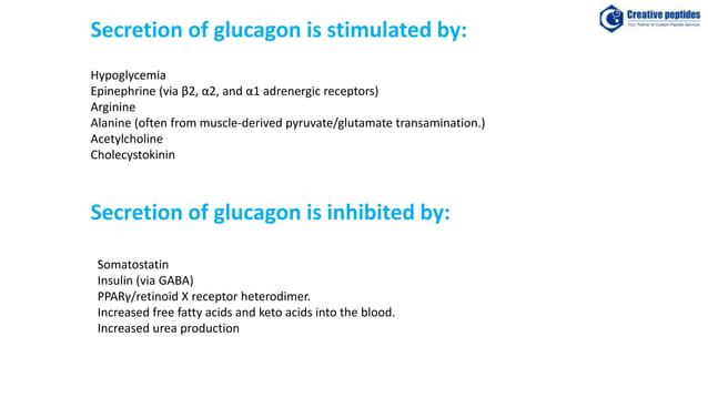 Glucagon and glucagon signaling-Creative Peptides | PPT