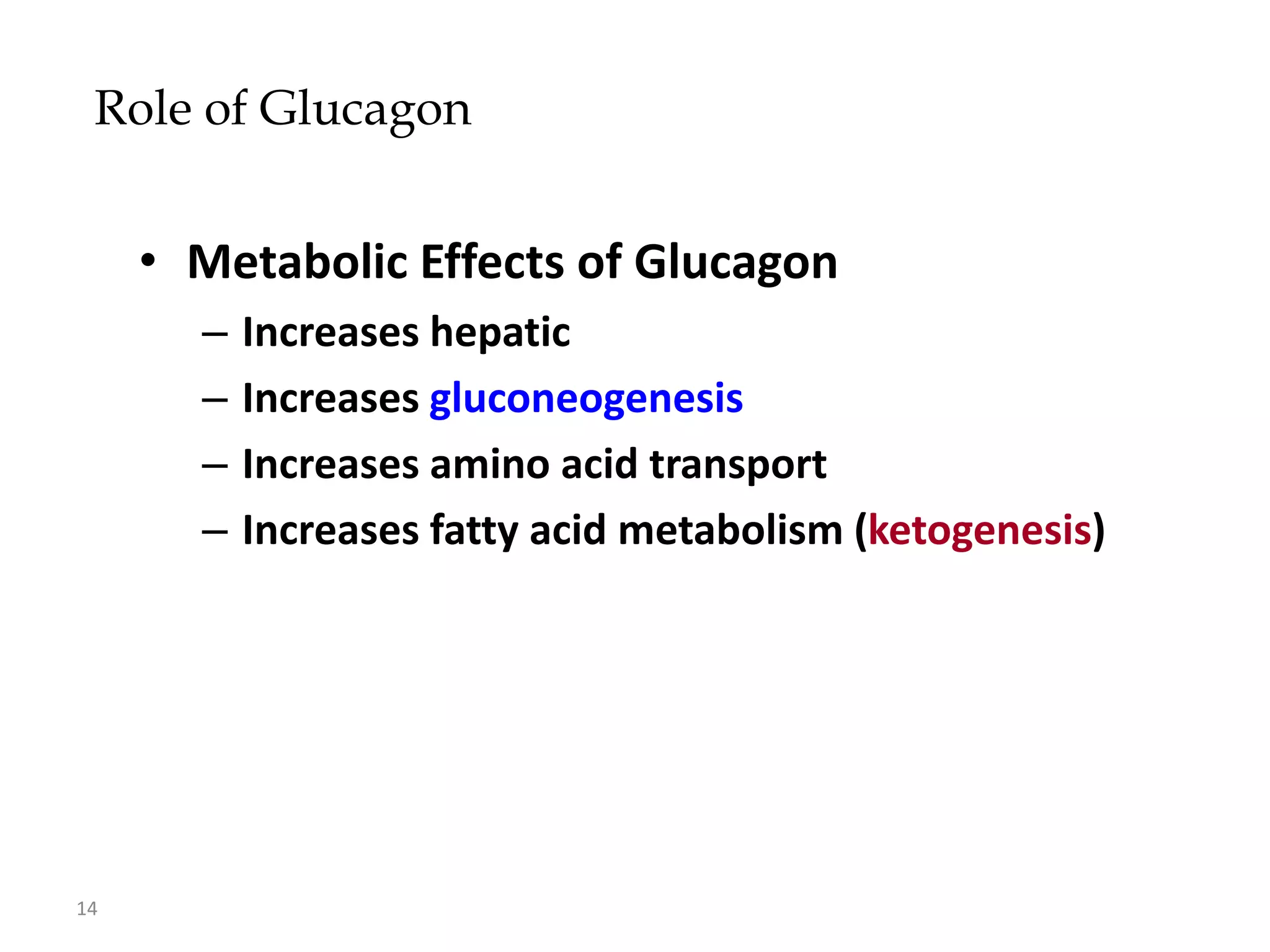 Glucagon and its metabolic effects | PPTX | Endocrine and Metabolic ...