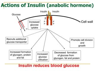 Kampala international university Glucagon, insulin & oral hypoglycemic ...