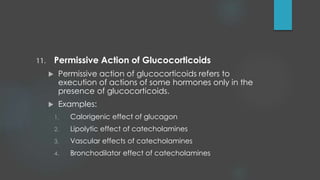 Glucocorticoids Function