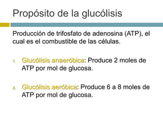 Glucólisis | PPTX