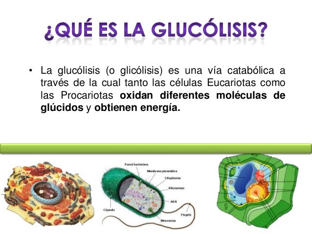 Glucólisis
