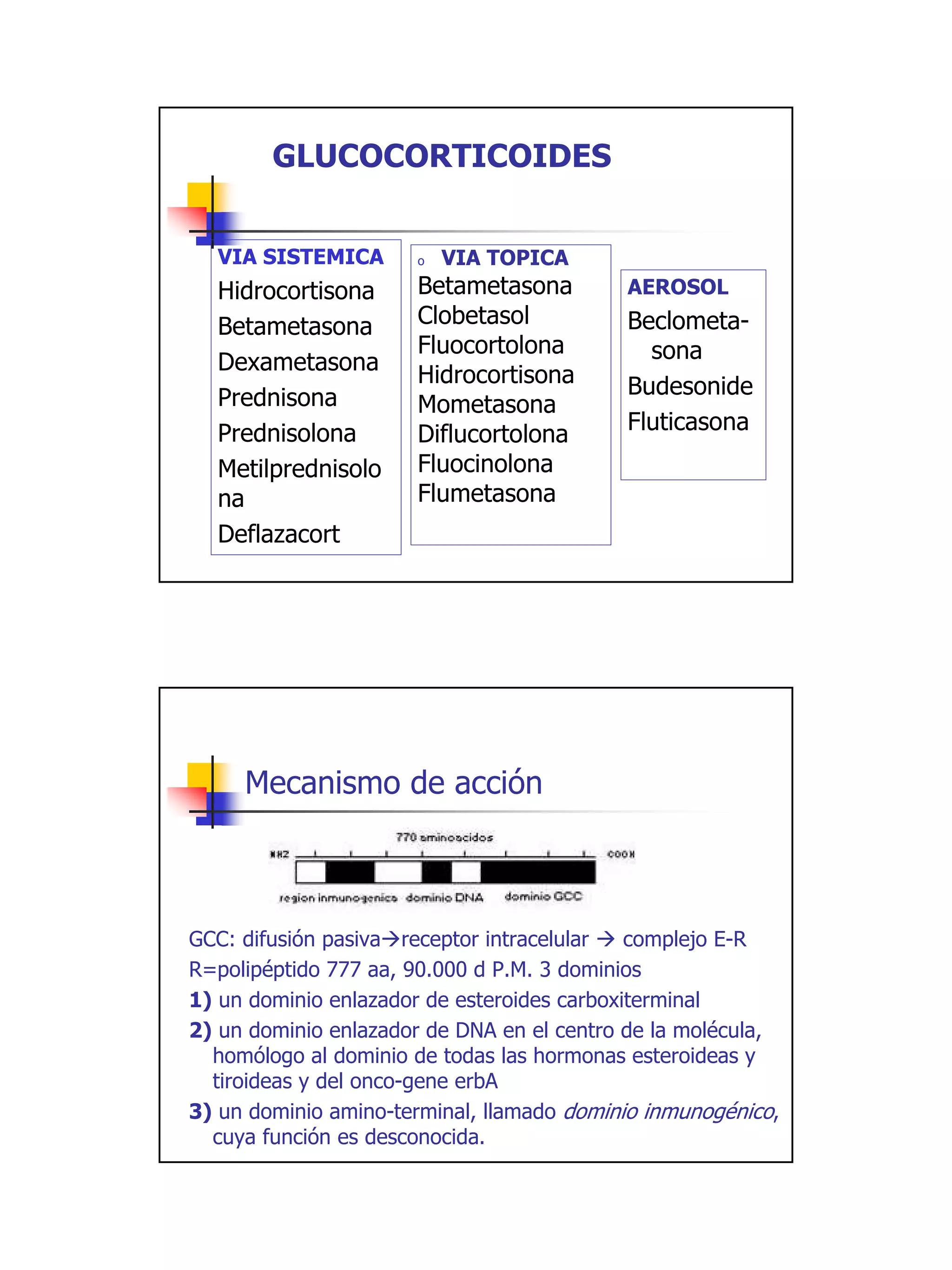 Glucocorticoides | PDF