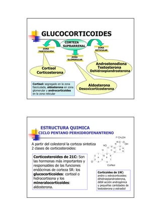 Glucocorticoides | PDF