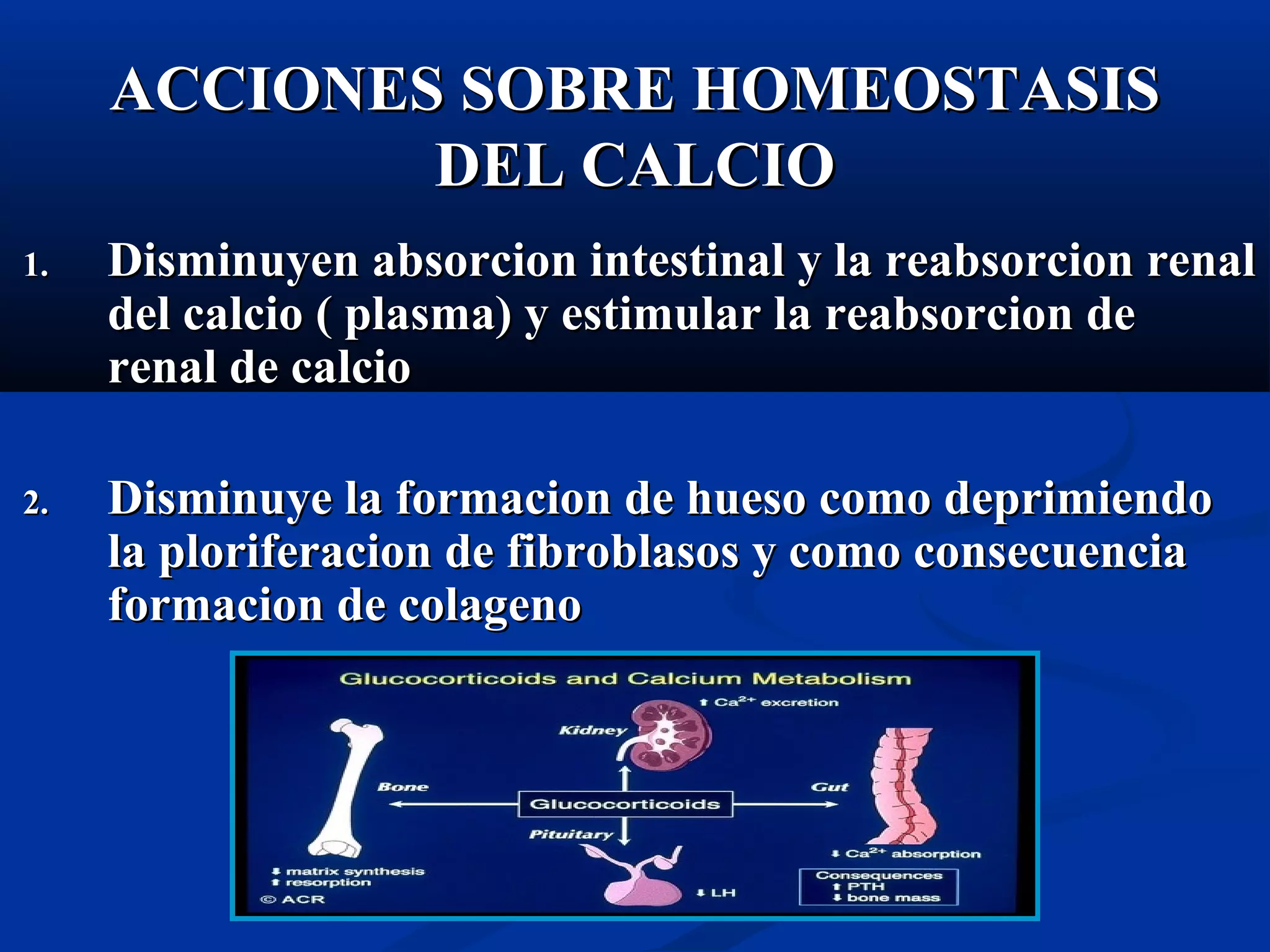 Glucocorticoides | PPT