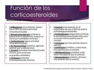 Glucocorticoides.pdf
