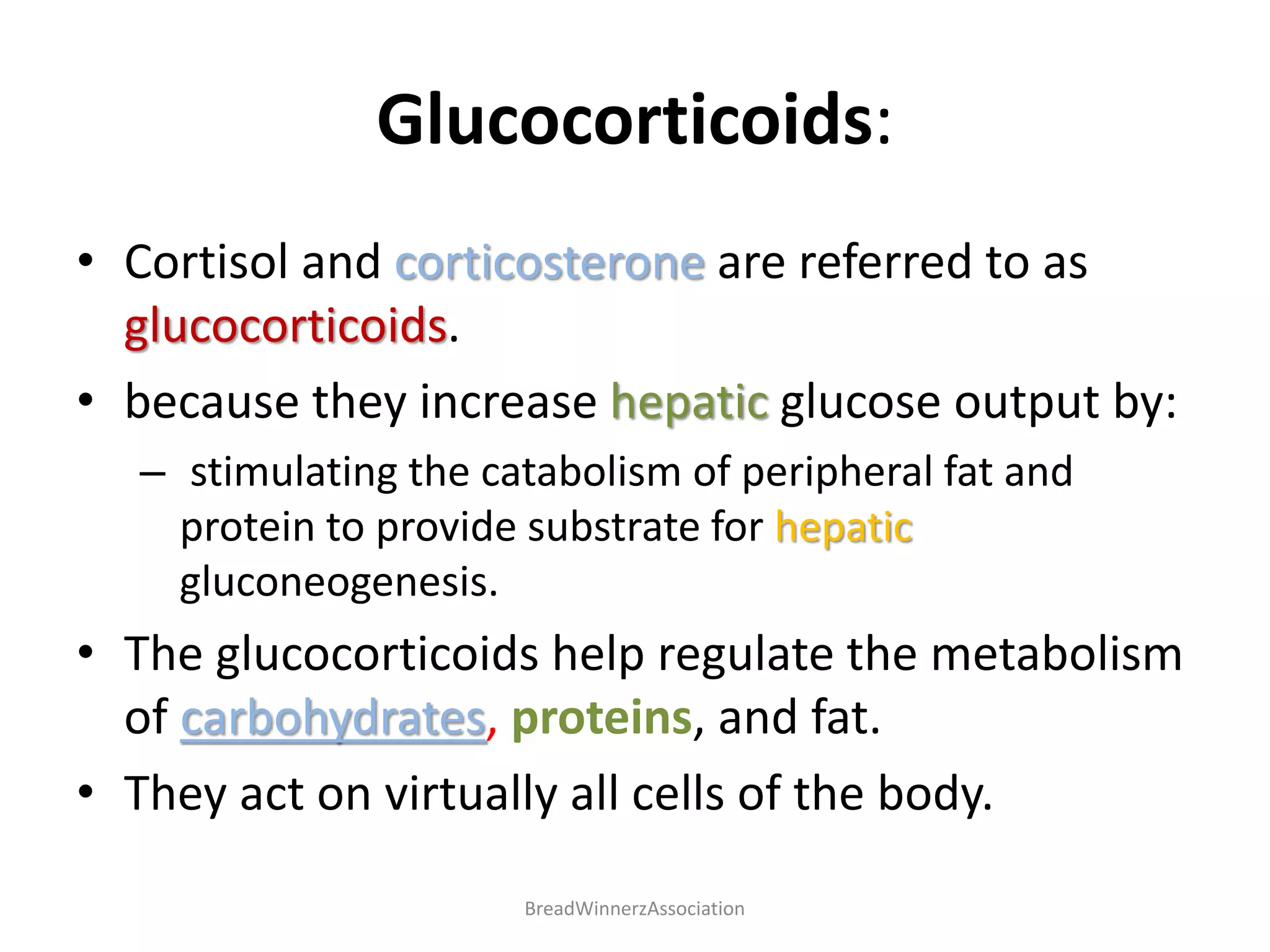 Glucocorticoids - Endocrine System | PPTX