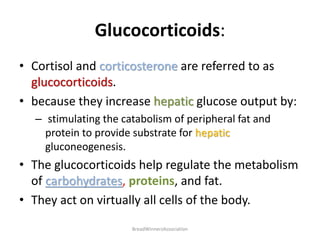 Glucocorticoids - Endocrine System | PPTX