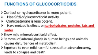 Glucocorticoids.pptx