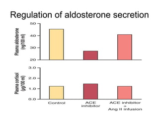 Glucocorticoids and mineralocorticoids | PPT