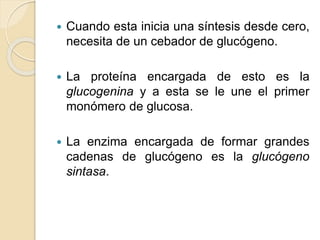 Glucogenesis-y-glucogenolisis julio.pptx