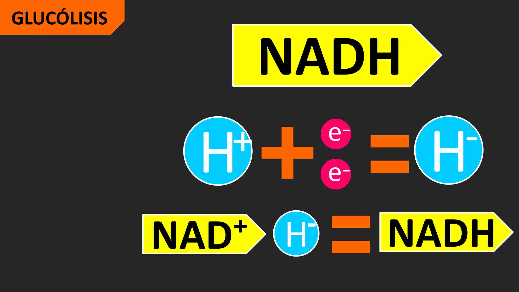 Glucolisis metabolismo carboh | PDF | Chemistry | Science