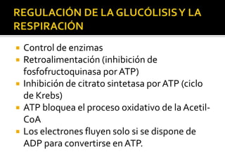 Glucolisis Y Respiracion | PPTX