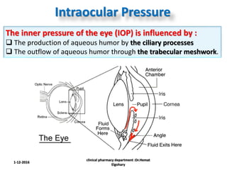 Glaucoma | PDF